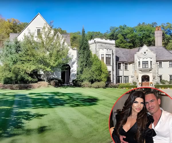 Teresa Giudice shocks fans by leaving RHONJ, selling her multi-million ...