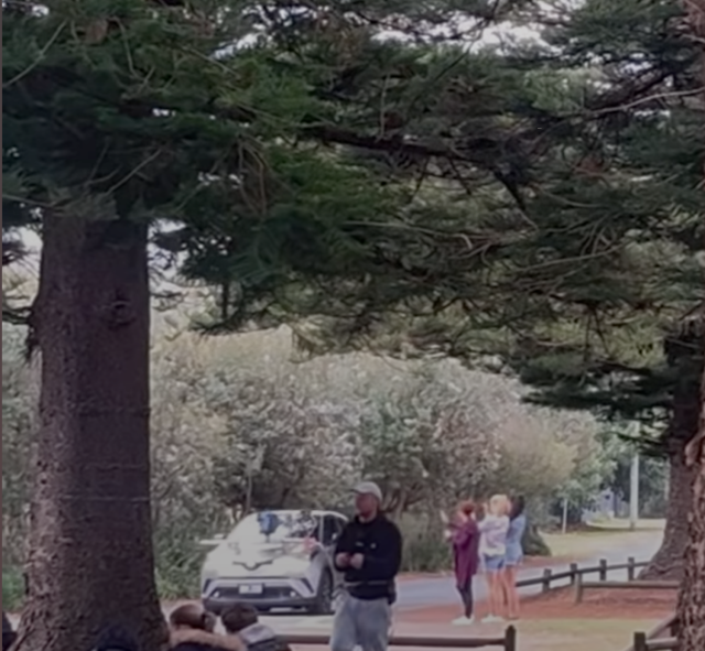 Outrage (news update 8/3/2025): Home And Away actor arrested after ...