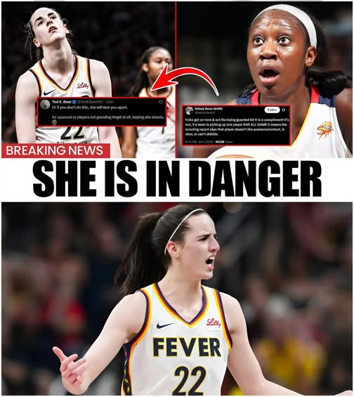 BREAKING NEWS: Former WNBA Star Quietly Forms Boycott Group Against ...